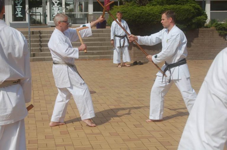 Okinawan Shuri Ryu sommerlejr 2017 | Karatenews