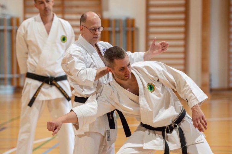 Shuri-ryu Karate sommerlejr 2018 og i år med Amerikansk deltagelse ...