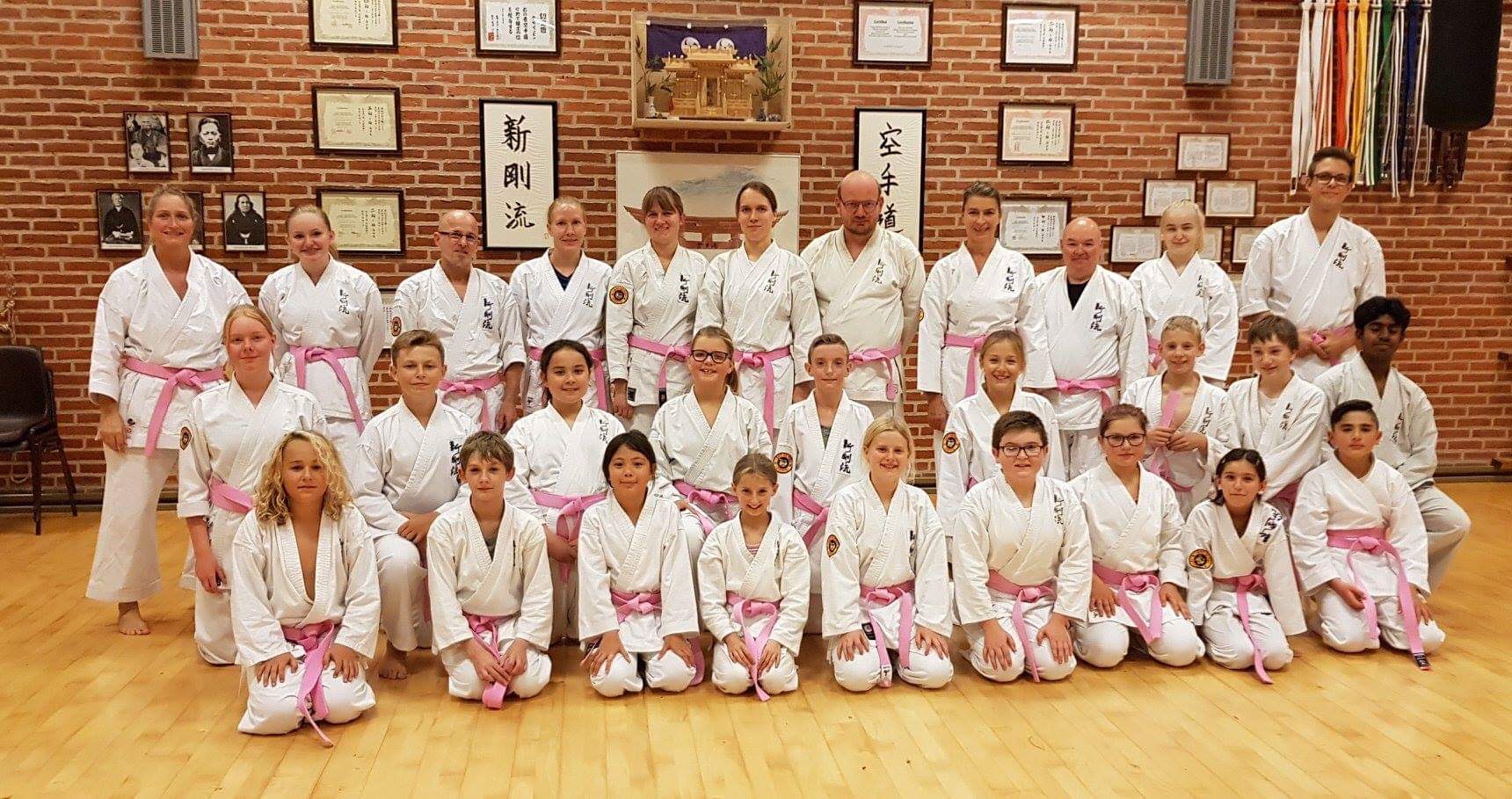Pink Karate – Shingoryu | Karatenews