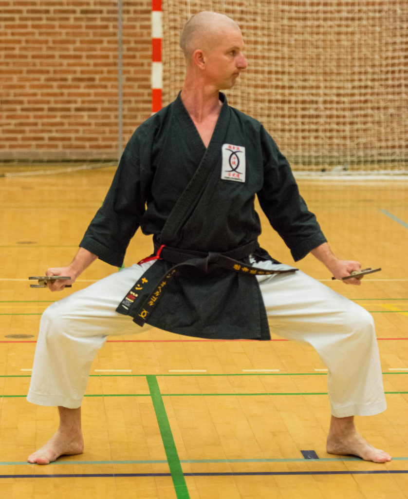 Tokumura Cup & Tokushinryu Gasshuku in Nakskov | Karatenews