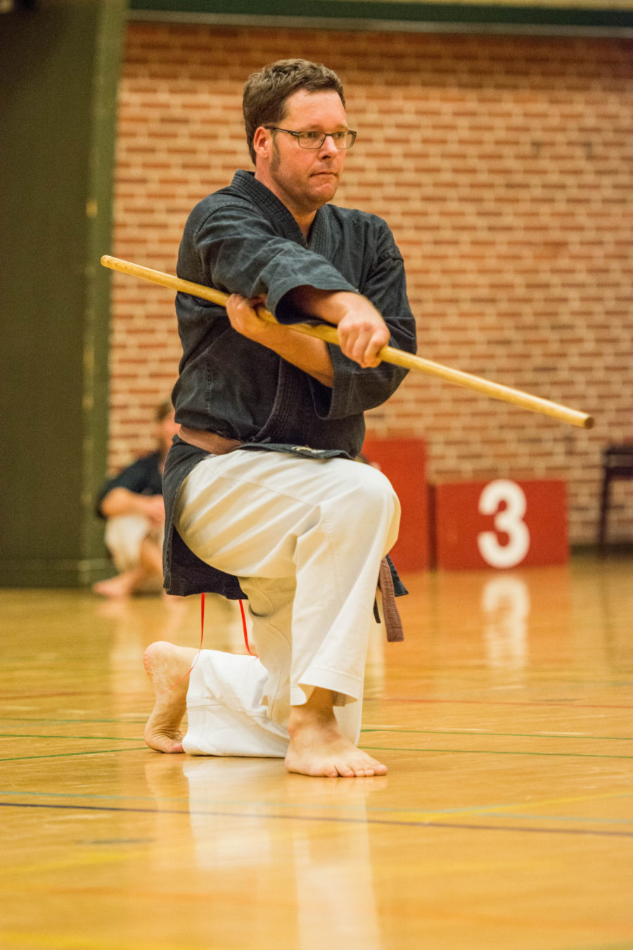 Tokumura Cup & Tokushinryu Gasshuku in Nakskov | Karatenews
