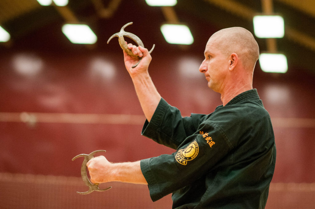 Tokumura Cup & Tokushinryu Gasshuku in Nakskov | Karatenews