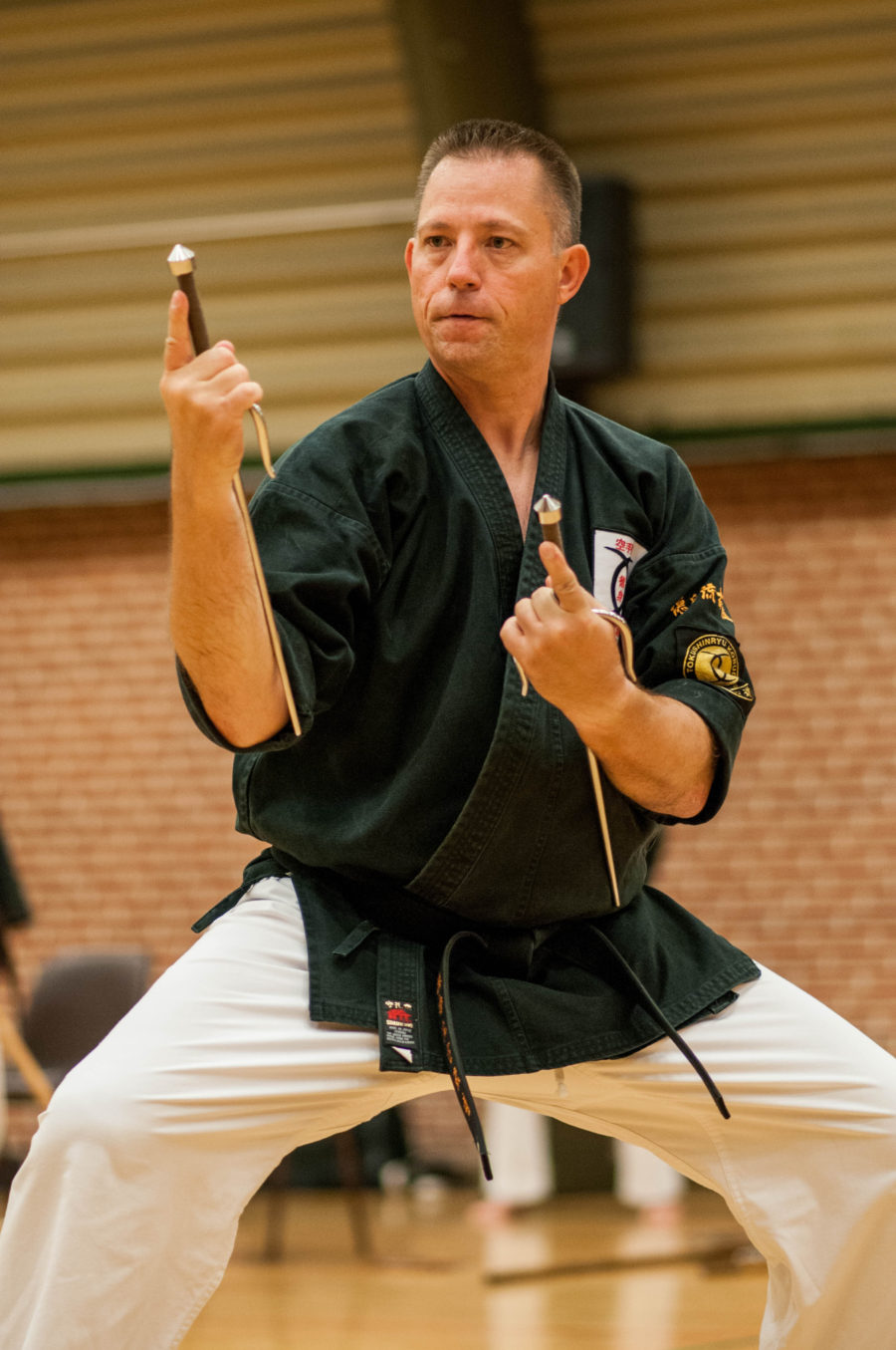 Tokumura Cup & Tokushinryu Gasshuku in Nakskov | Karatenews