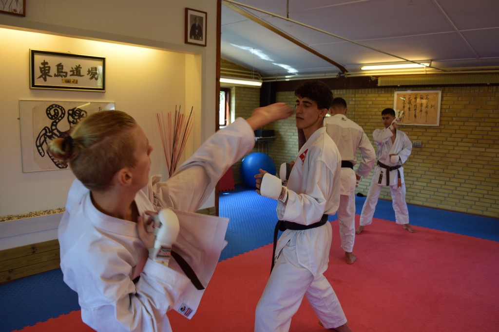 JKA Karatelandsholdet på Bornholm | Karatenews